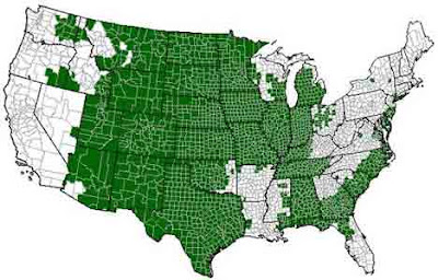 Ohio Birds and Biodiversity: Night of the Tiger