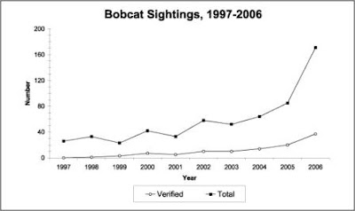 Ohio Birds and Biodiversity: Bobcat!