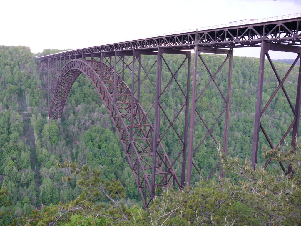 Ohio Birds and Biodiversity: West Virginia