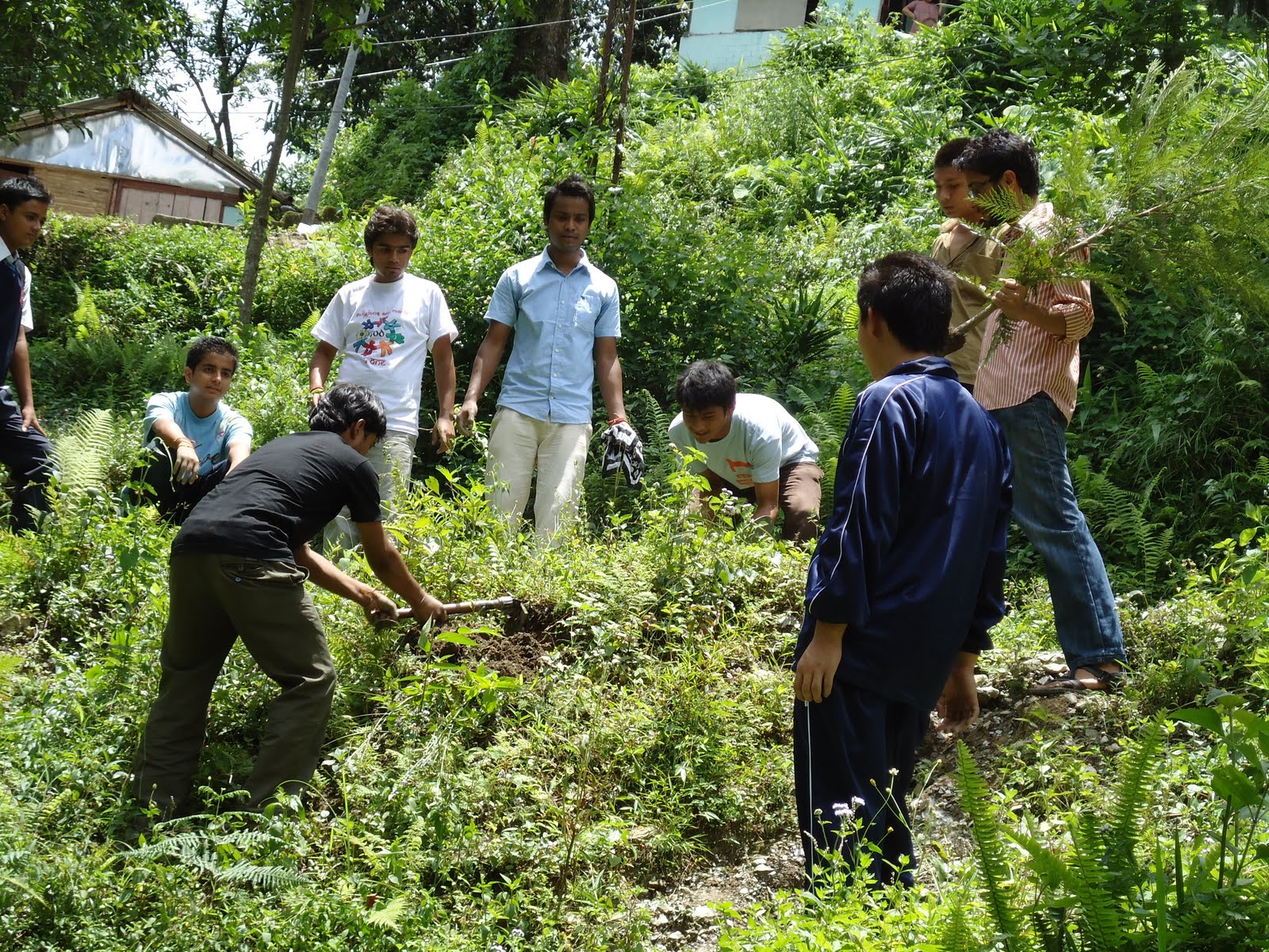 Society For Harmonious Development: Plantation Program organized by ...