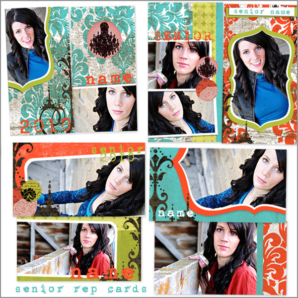 Mitzi Torgersen Product Options- Utah Photography: Sassy senior cards