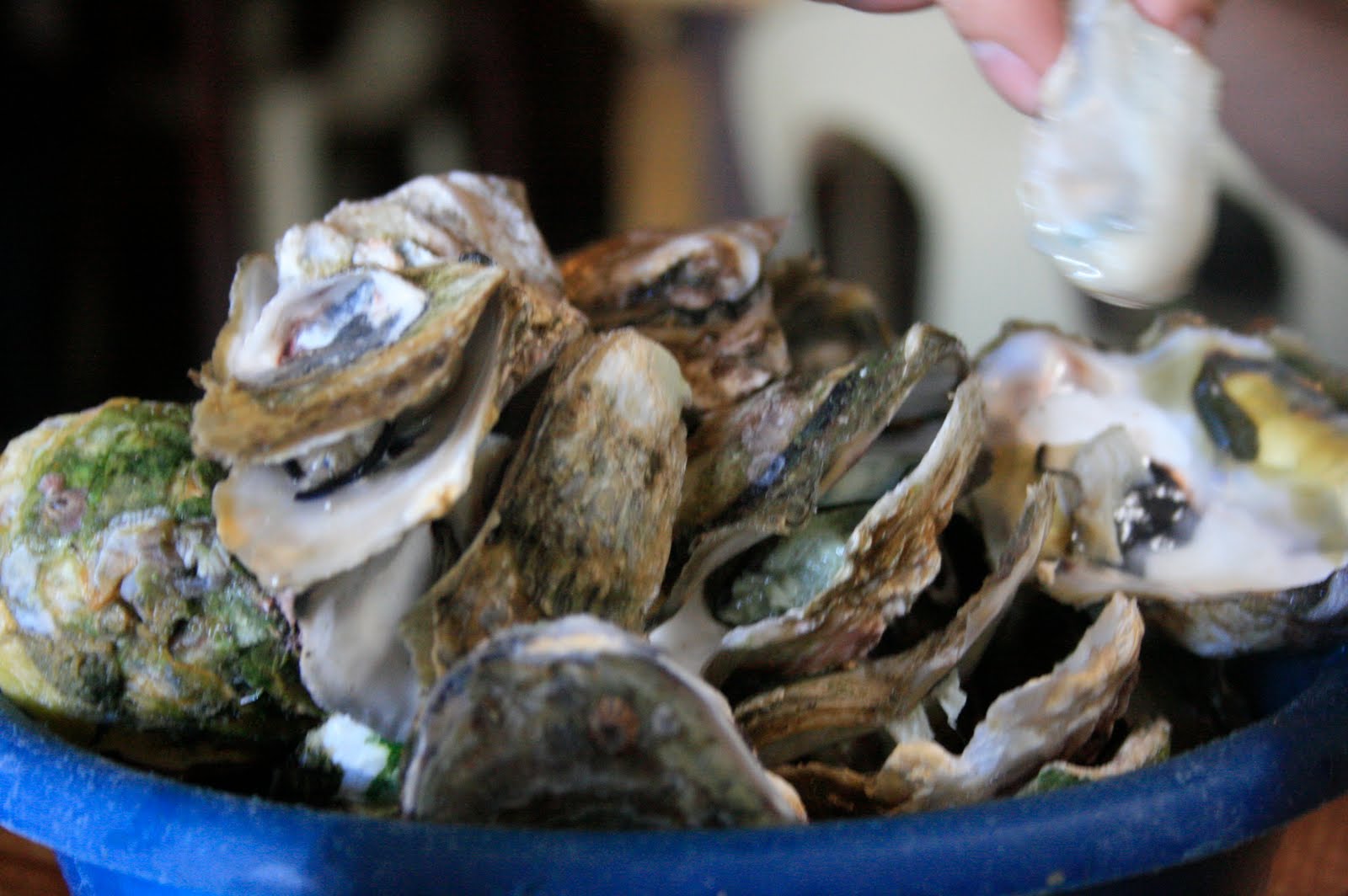 Crazy Girl All Over Town: Allan's Talabahan