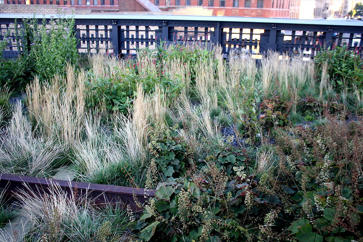 View from Federal Twist: High Line: More than the sum of its parts