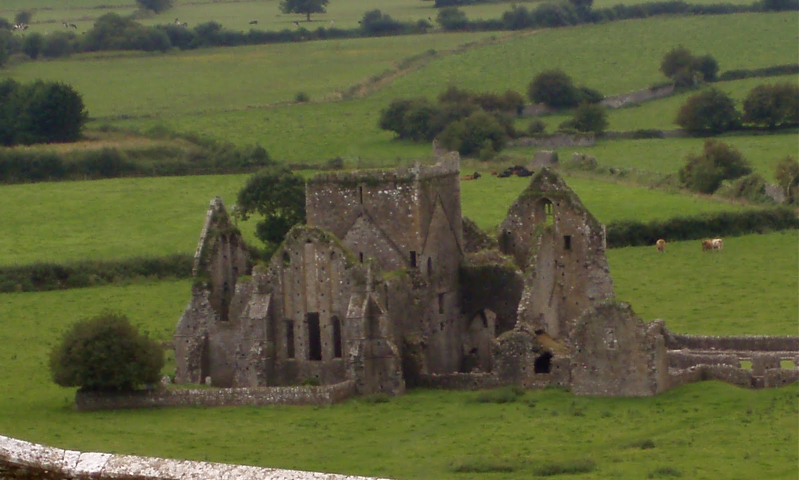 'On a flesh and bone foundation': An Irish History: July 2011