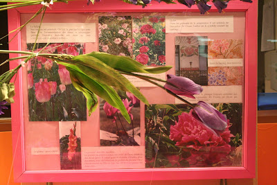 Béatrice De: LA FLEUR DE LA CONNAISSANCE. SYMBOLES DES FLEURS. VITRINE ...
