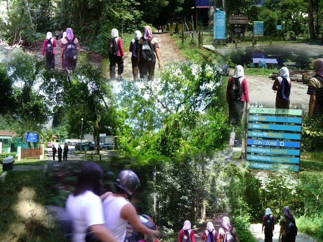 bocHa redaH Hutan - hutan gunung air terjon: hill + jungle dualthlon ...