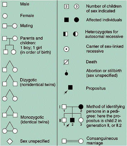Genetic Inheritance: December 2010