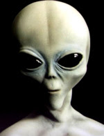 Ufo/avvistamenti/testimoni/area51: LE RAZZE ALIENE