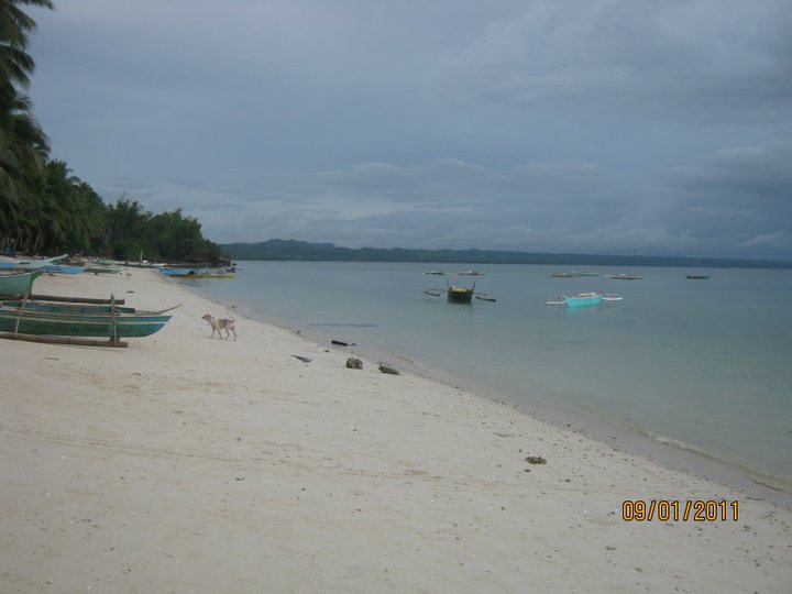Traveler'sBook: Elegant Beach Resort, San Remigio