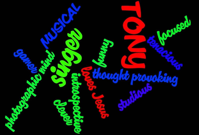 Beyond the Fringe Crafts: Playing With Wordles