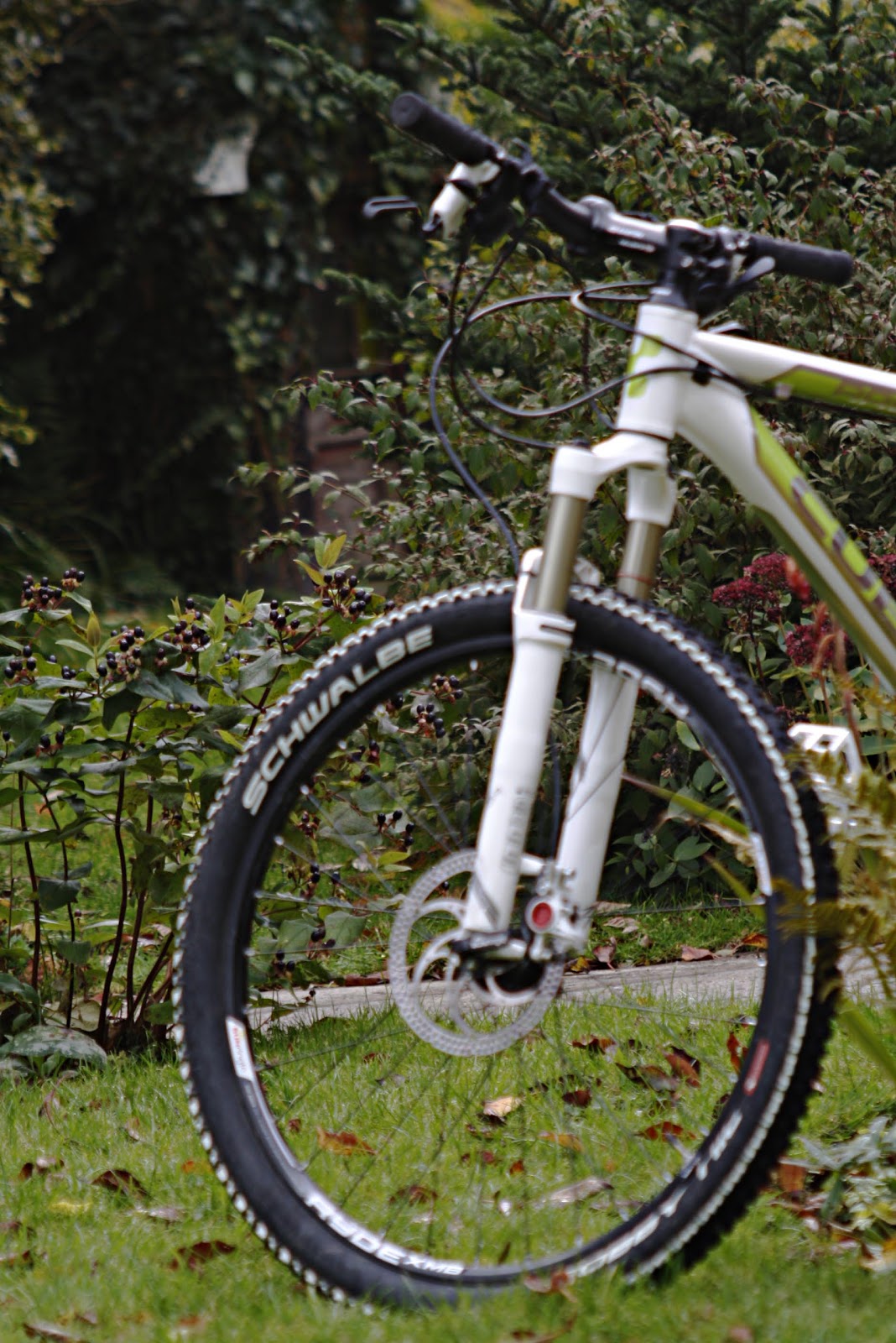 Photo Skills A: Depth of field - Background vs foreground