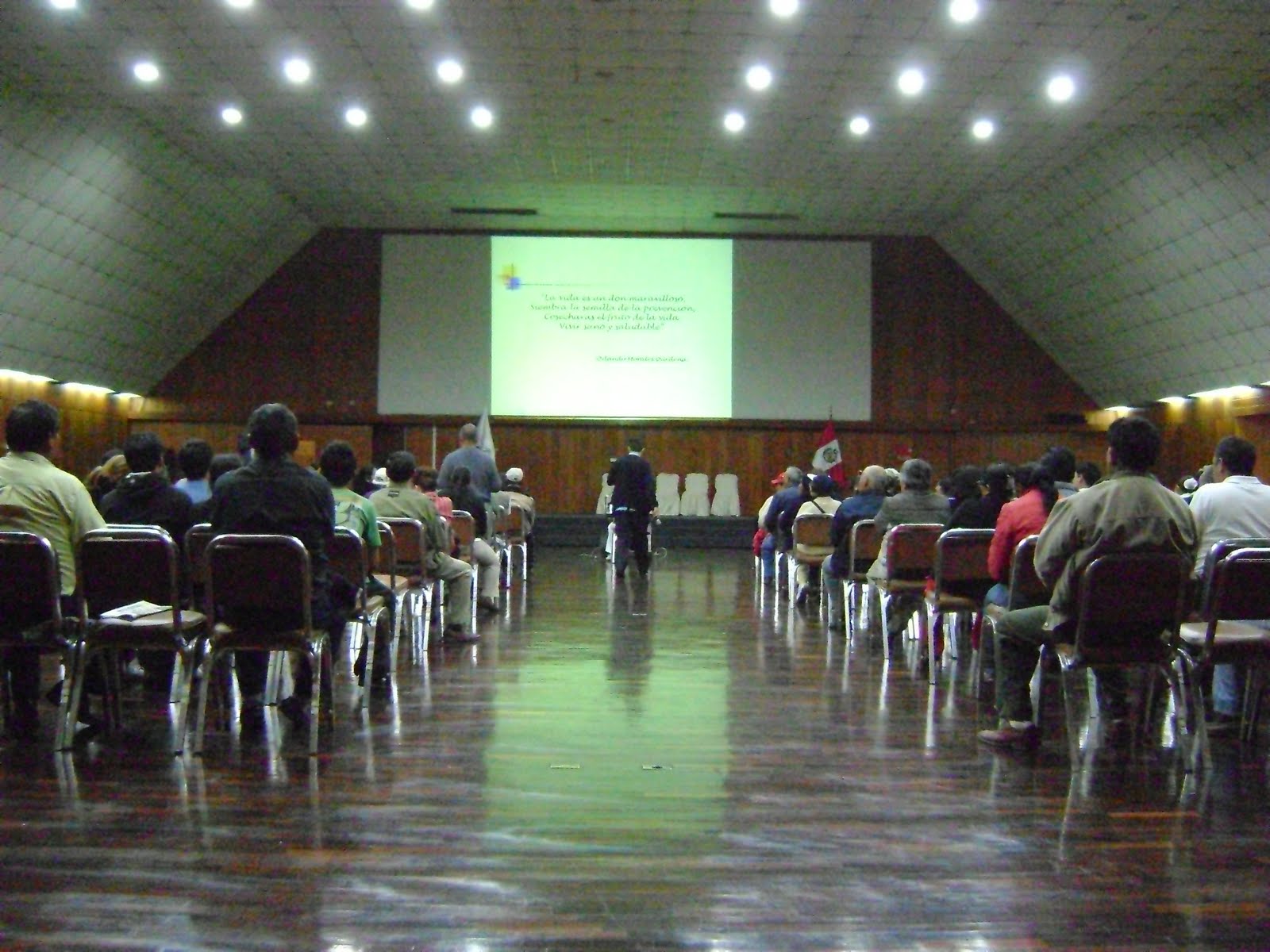 Yerba Silvestre: INSTITUTO NACIONAL DE ENFERMEDADES NEOPLÁSICAS, LIMA ...