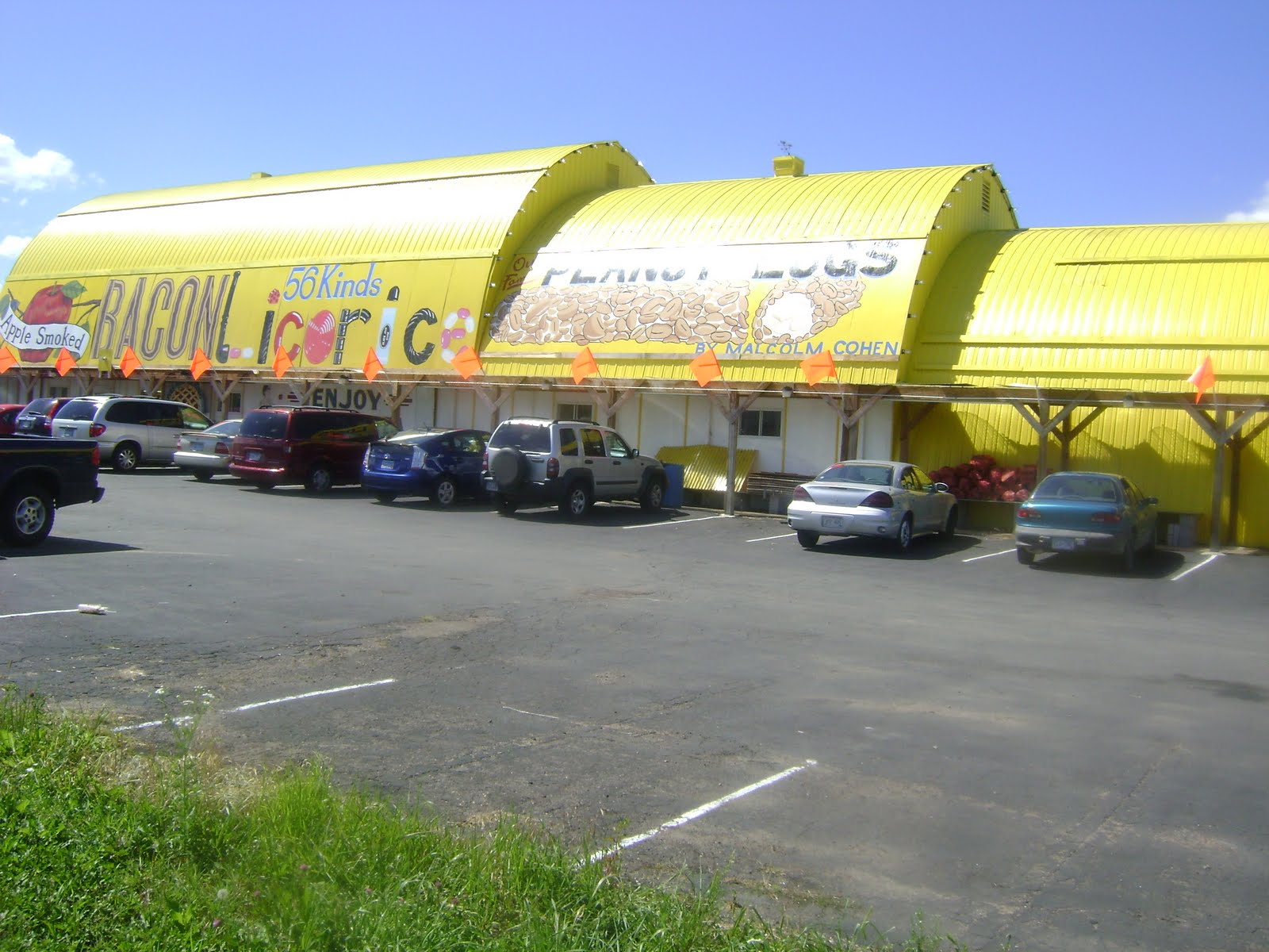 Sweet Tooth: Minnesota's Largest Candy Store