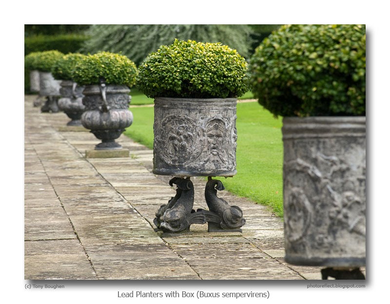 PhotoReflect: Georgian lead planters