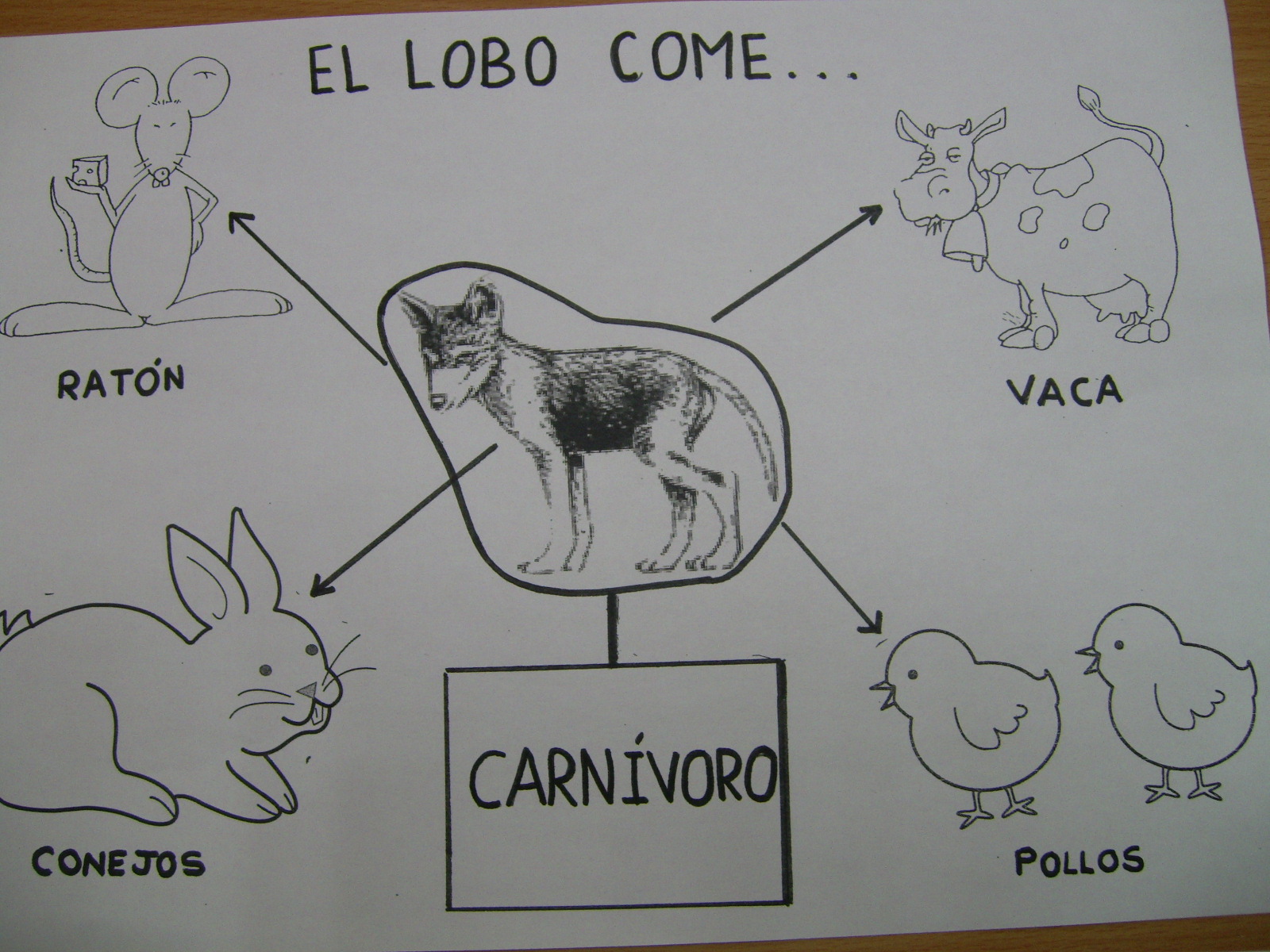 Educación Infantil C.E.I.P Federico Garcia Lorca.: PROYECTO LOBO II ...