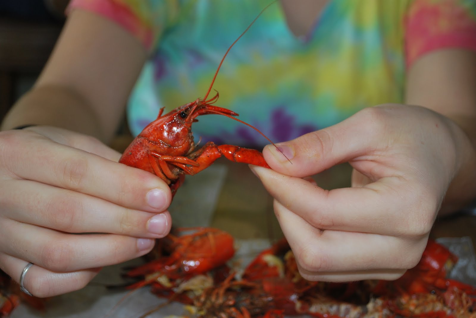 The Momshell: How to Eat a Mudbug!