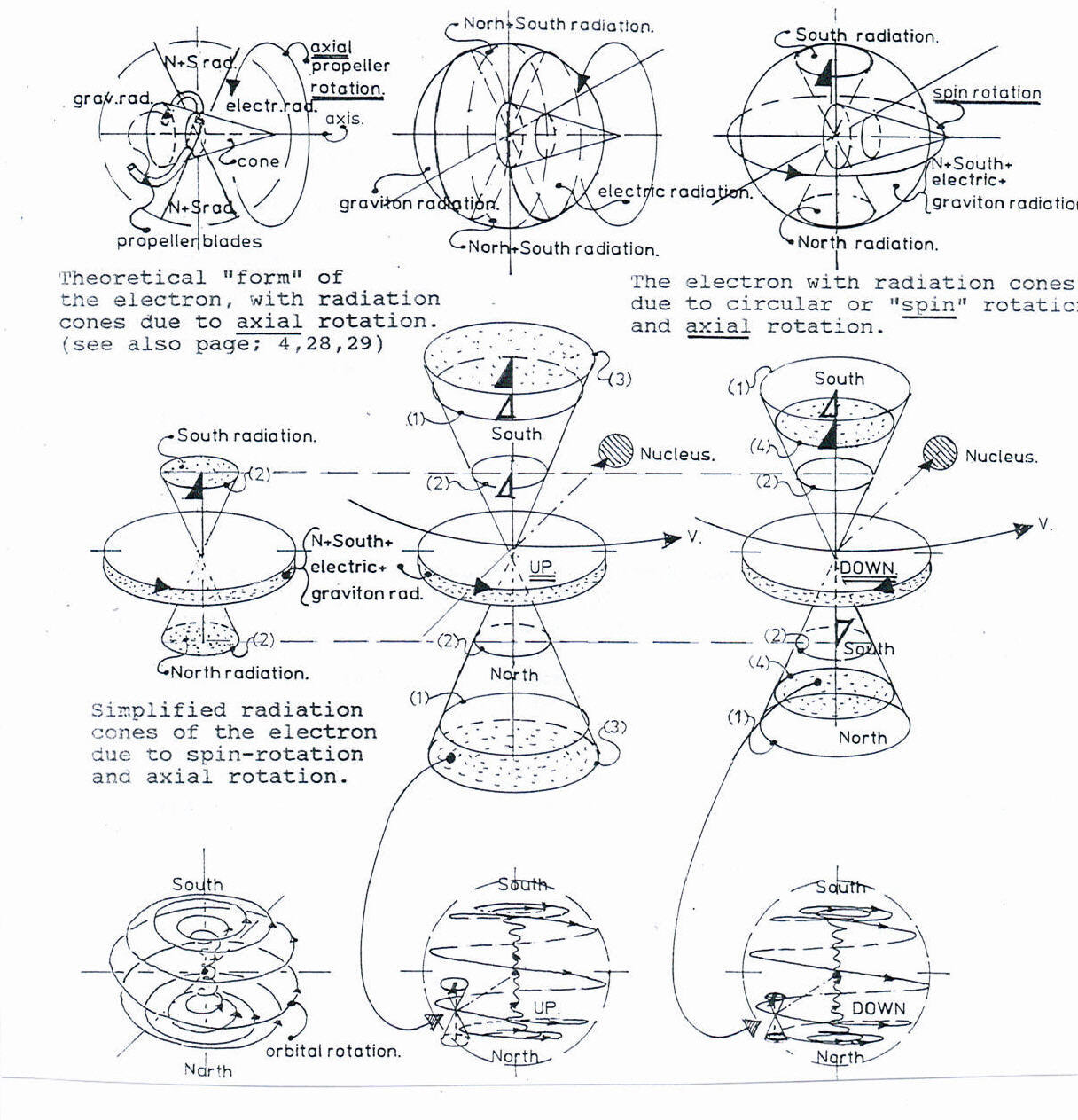 Quantum Function Follows FORM, (Q-FFF Theory) An Entangled Mirror ...