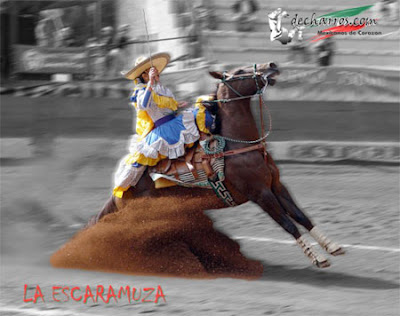 LA CHARREADA: la charreada