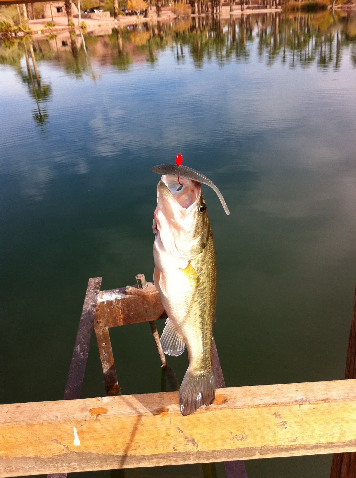 URBAN FISHING HQ: "Flick Shake"-The Hottest New Bass Technique