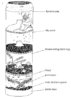 D'Rhal's Ecocolumn: Procedure