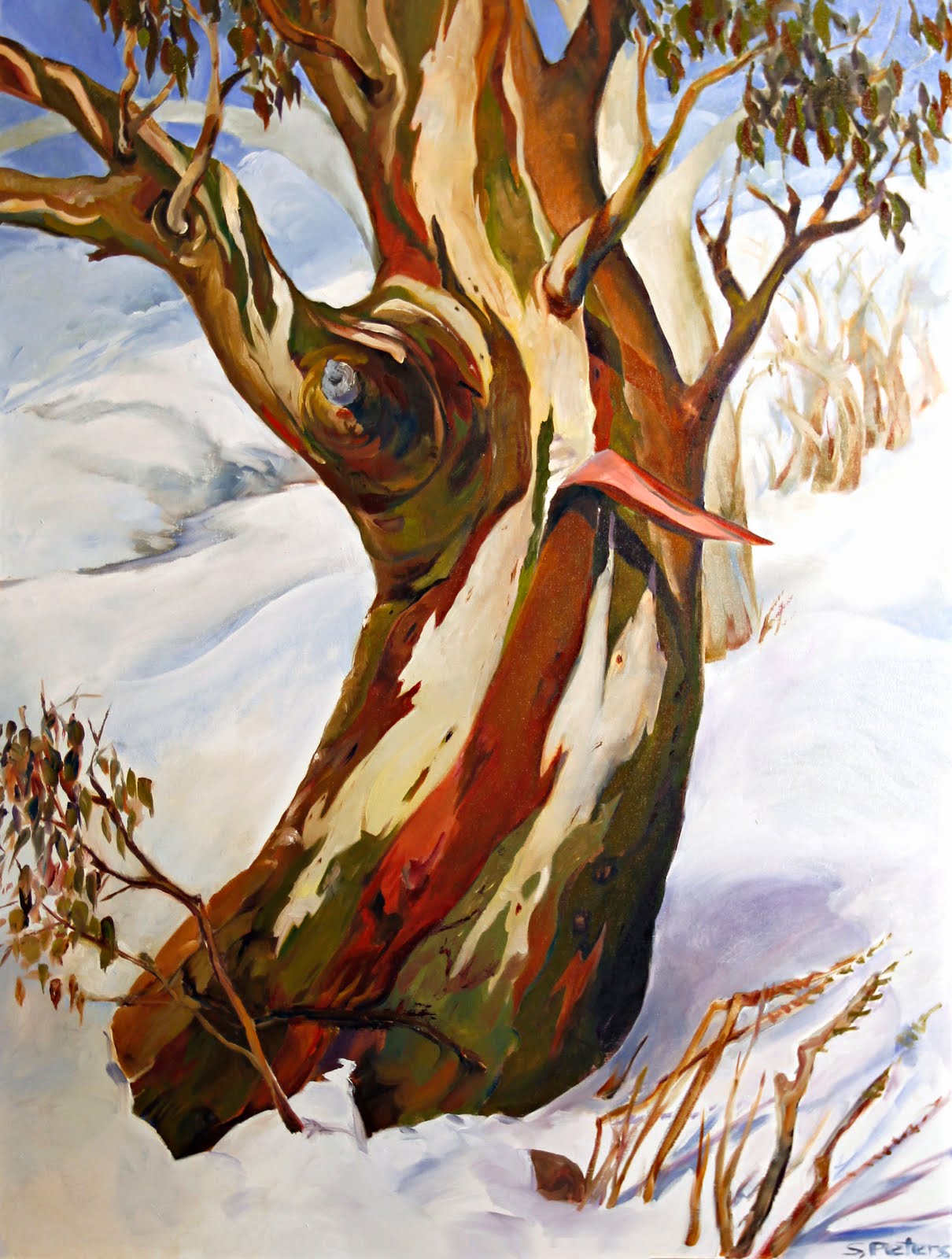 Snow Gums Blog