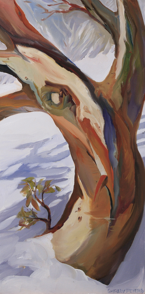 Snow Gums Blog: Three paintings