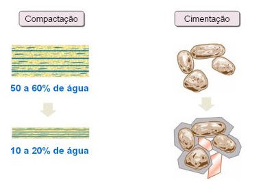 A aprender: Biologia/Geologia - 11ºano: Formação das rochas sedimentares