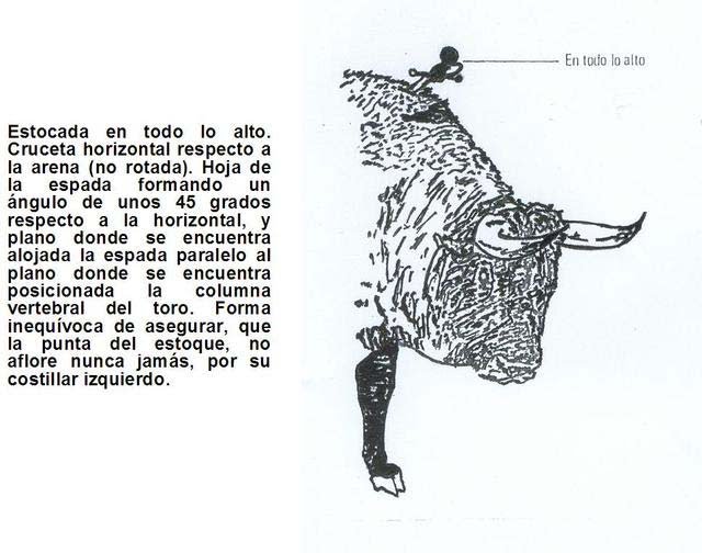 EL DESJARRETE DE ACHO: LA ESTOCADA Y SU EJECUCIÓN CORRECTA