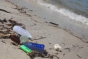 Litter at Carmel College