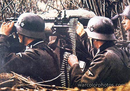 World War II: 4.SS-Polizei-Panzergrenadier-Division in Color
