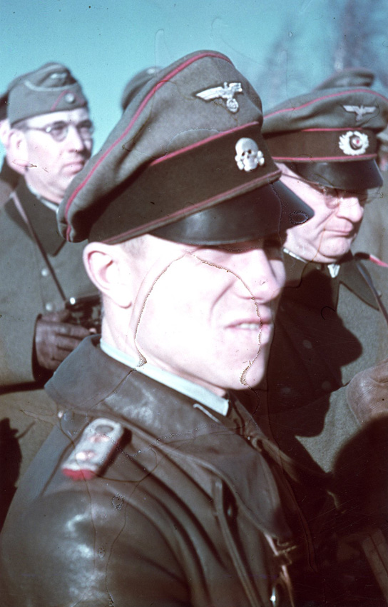 Third Reich Color Pictures: Waffen-SS in Color