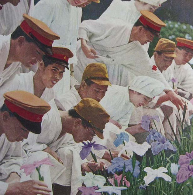 World War II: Japan Empire in the World War II in Color