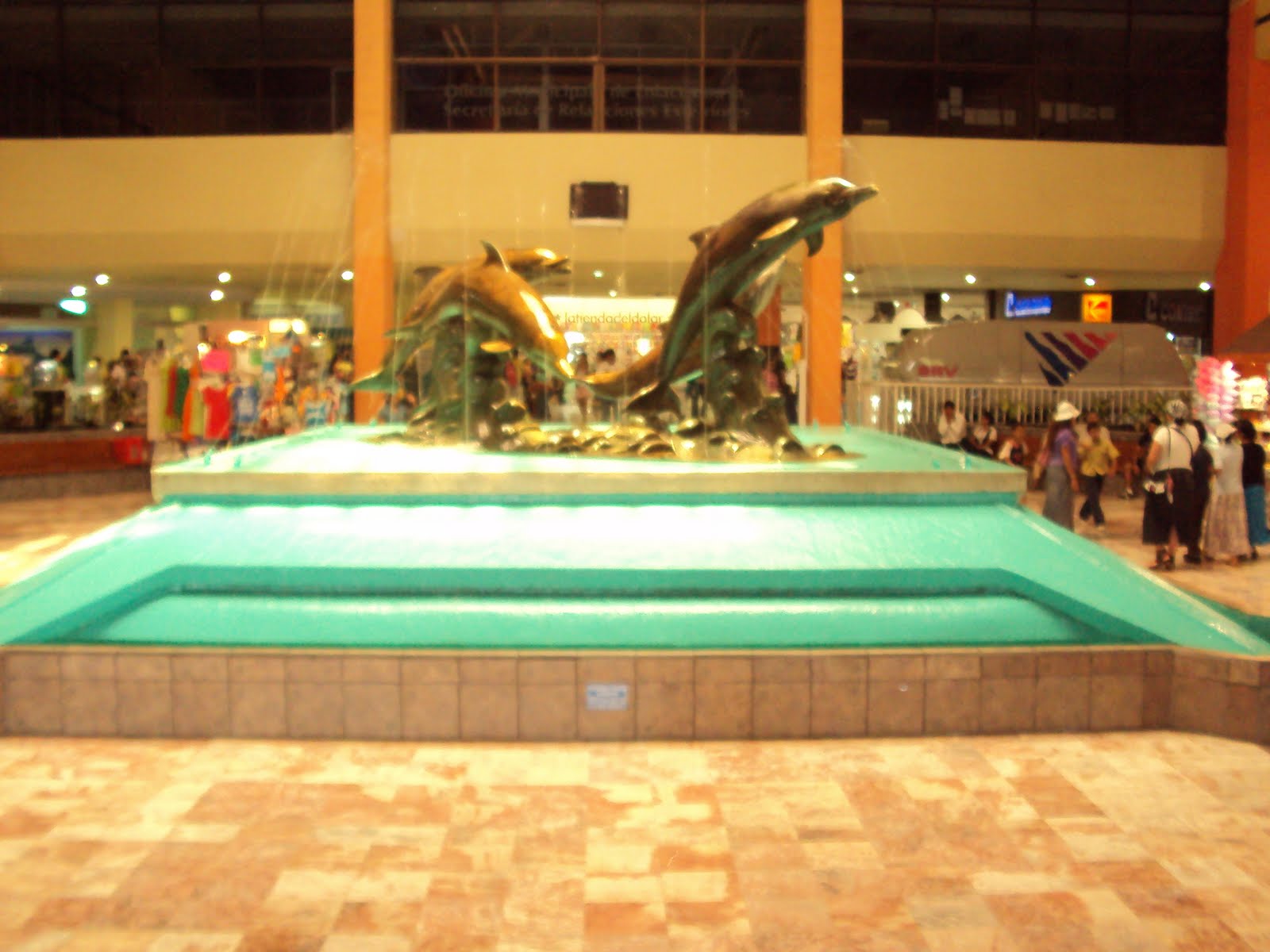 Explora Veracruz: El Acuario de Veracruz, una visita obligatoria.
