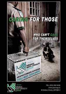 Seagram Pearce Photography