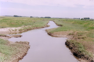 Marathon Pundit: My Kansas Kronikles: Wetlands and Wildlife Scenic Byway