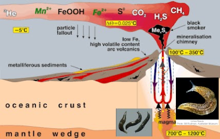 The Other 95%: Slugs are the Driving Factor Behind Volcanic Explosions