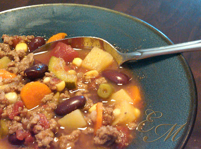 Hamburger and Veggie Slow Cooker Stew - Evolving Motherhood