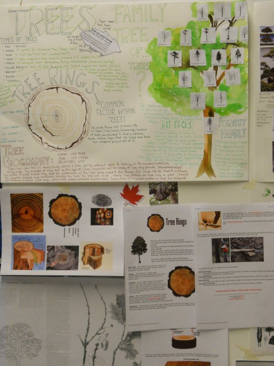 Avarie's Interlude: TREES TREES TREES! (Universal Principles of Design)