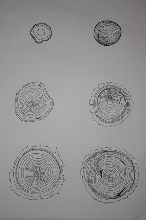 Avarie's Interlude: TREES TREES TREES! (Universal Principles of Design)