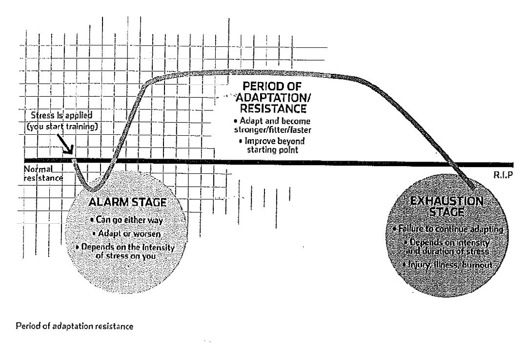 Coach JorgeM: Training Concepts - Part 1
