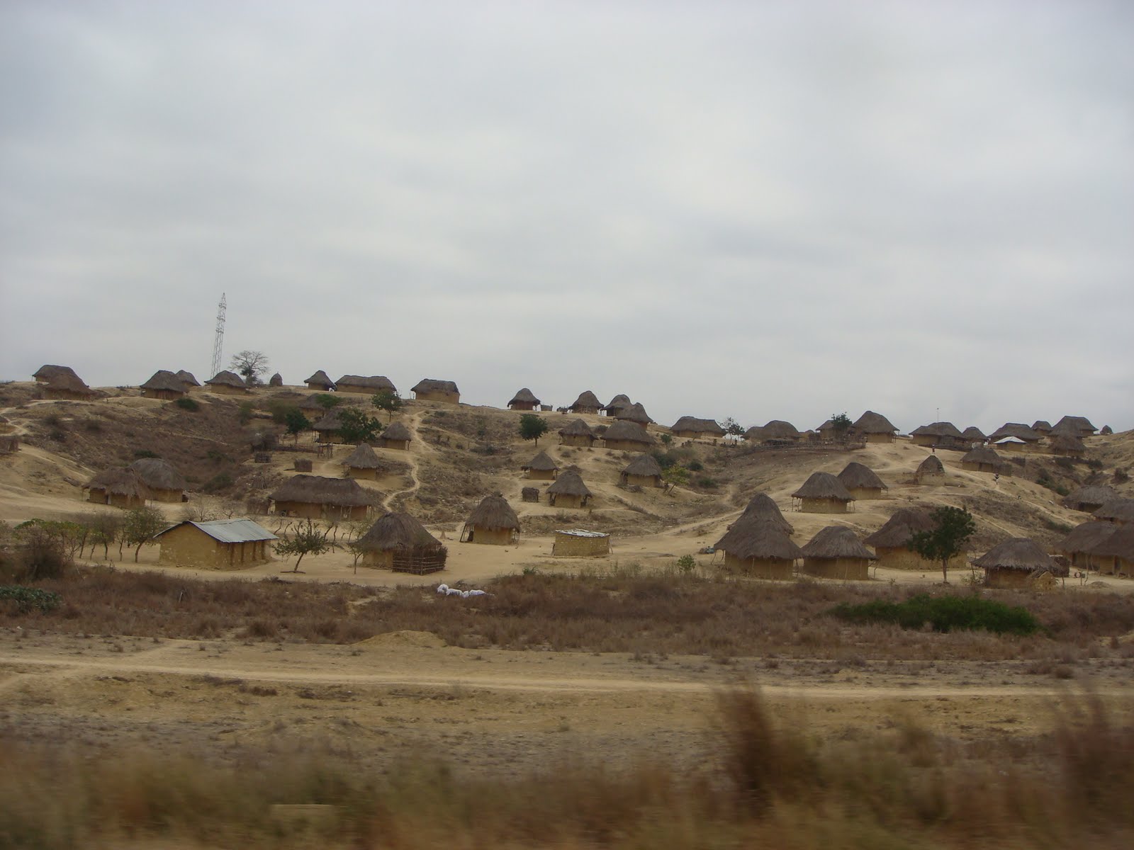 Na terra dos Kizombas ...: Safari Luanda - Seles