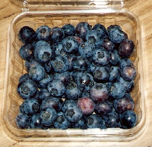 Plantación de Arandano en Suipacha, Buenos Aires, Argentina: Arandano ...