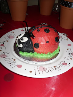 A Bugs Life: Kaylee's Lady Bug Party Decorations