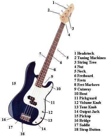 Sejarah Bass | jedlithecrowssmada