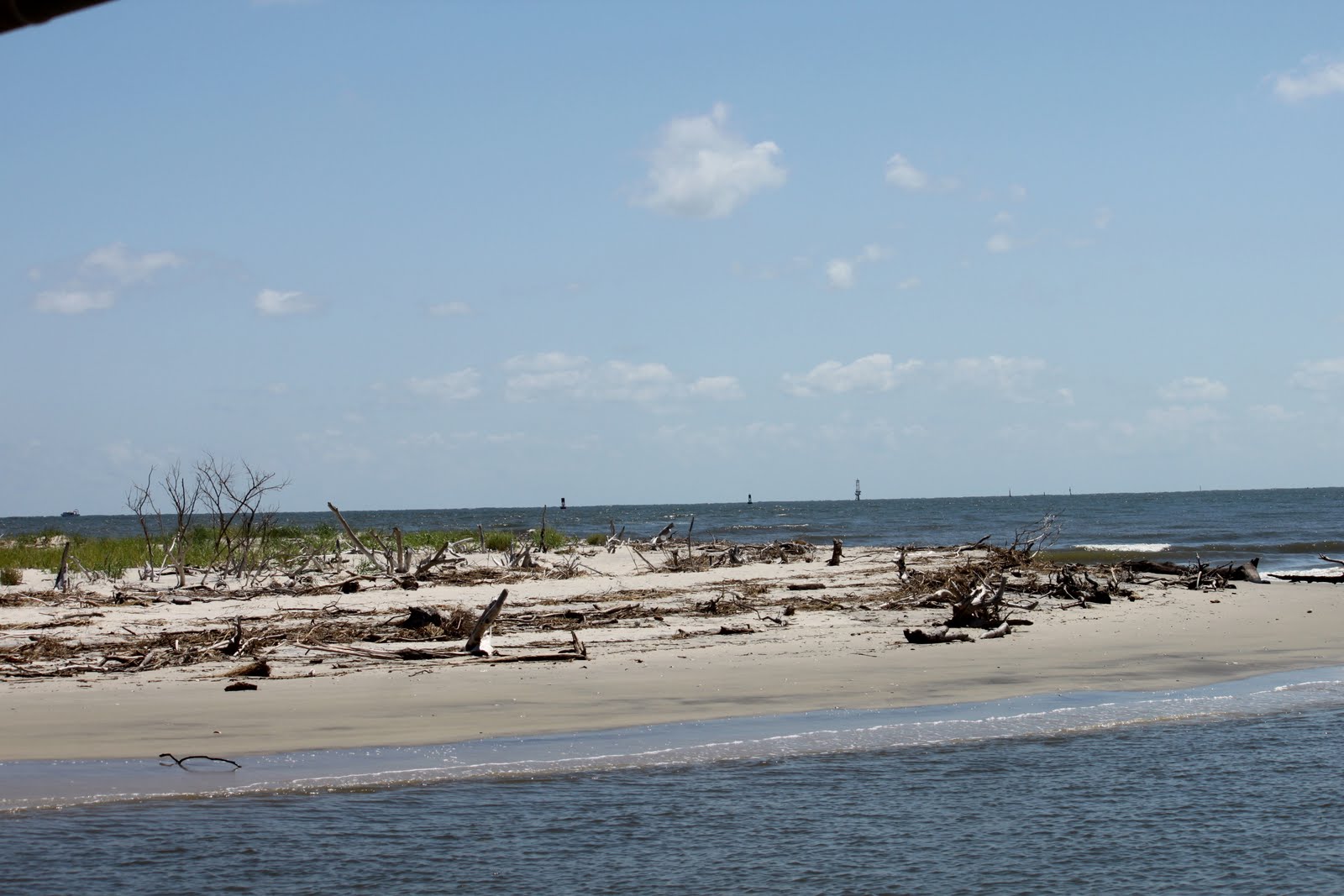 One Plant at a Time: Vacation pics. from MB and Georgetown, Shell ...