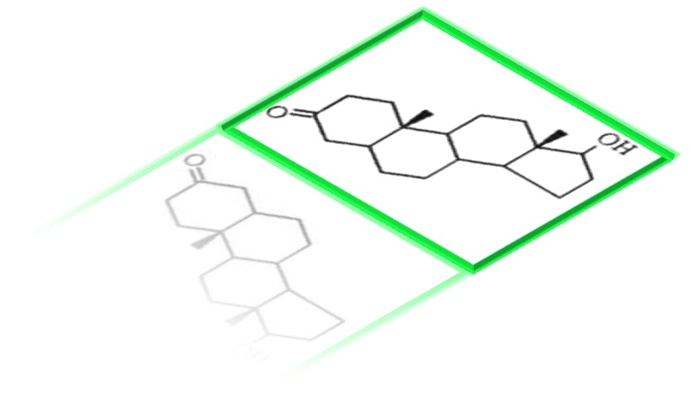 ESTEROIDES/ANABOLICOS