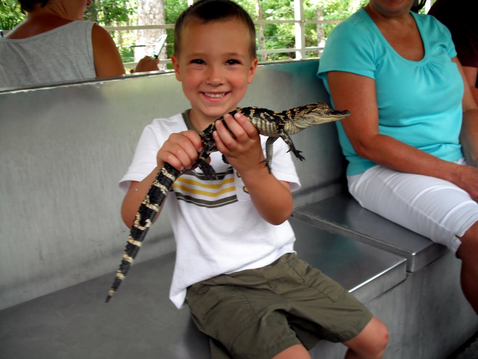 Cottrell Family: Teasing Mr. Alligator, You can't catch me!