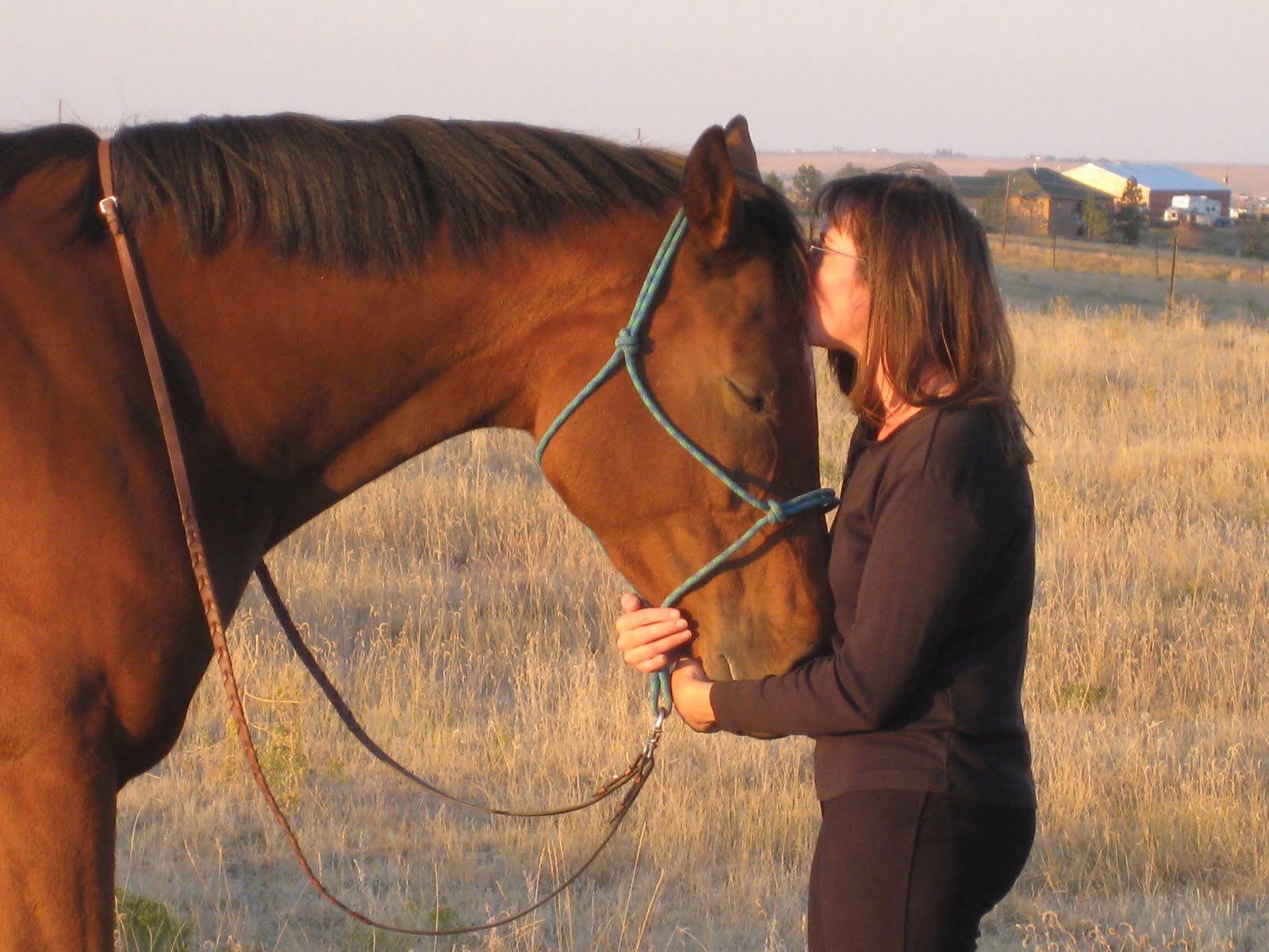 Healing Hearts with Horses: Chosen by a Horse: Healing the Inner Child