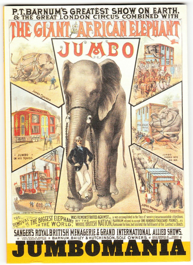 The Paper Collector: Jumbo the Elephant