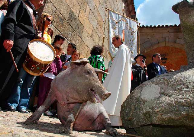 Mirando el Horizonte: “EL MARRANO DE SAN ANTON………VERY IMPORTANT VECINO ...